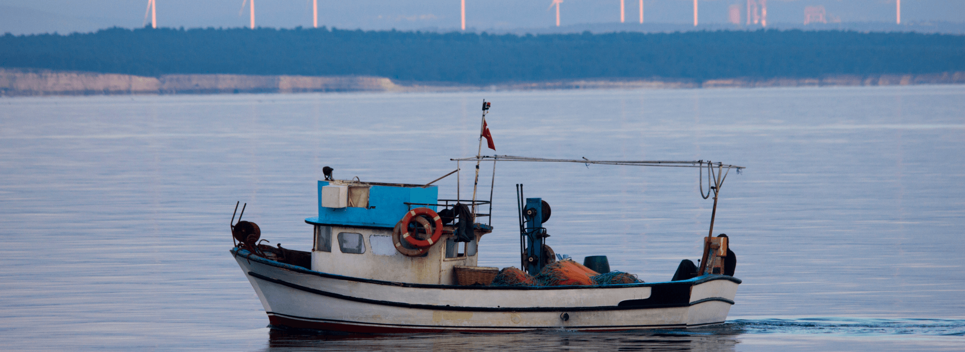 Review of Falkland Islands Finfish Fisheries - Howell Marine Consulting
